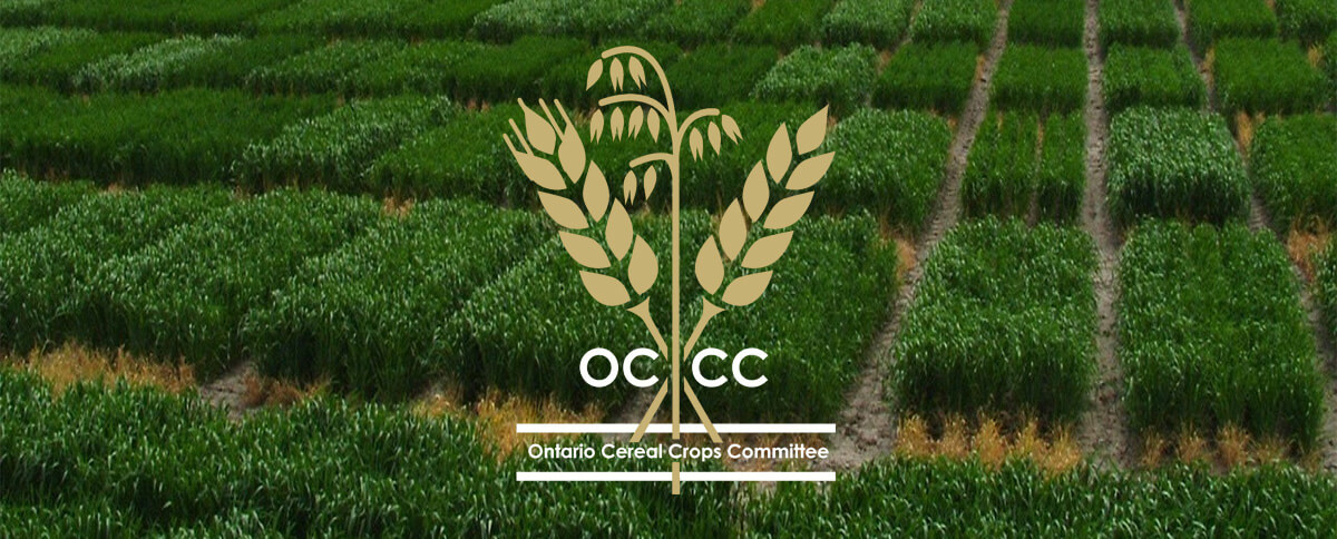 Ontario Cereal Variety Trials - Yield and Agronomics | Holmes Agro